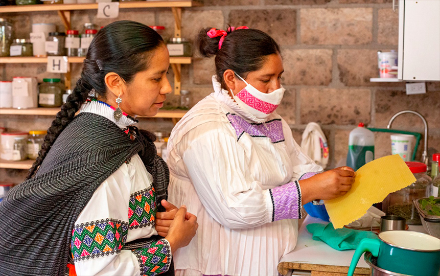 Estos son los guardianes de la medicina tradicional de los antepasados