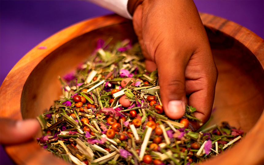 Estos son los guardianes de la medicina tradicional de los antepasados