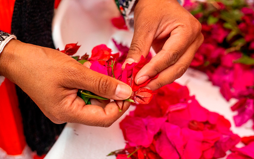 Estos son los guardianes de la medicina tradicional de los antepasados