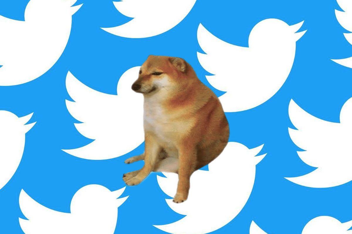 ¿Por qué aparece Cheems como logo de Twitter?