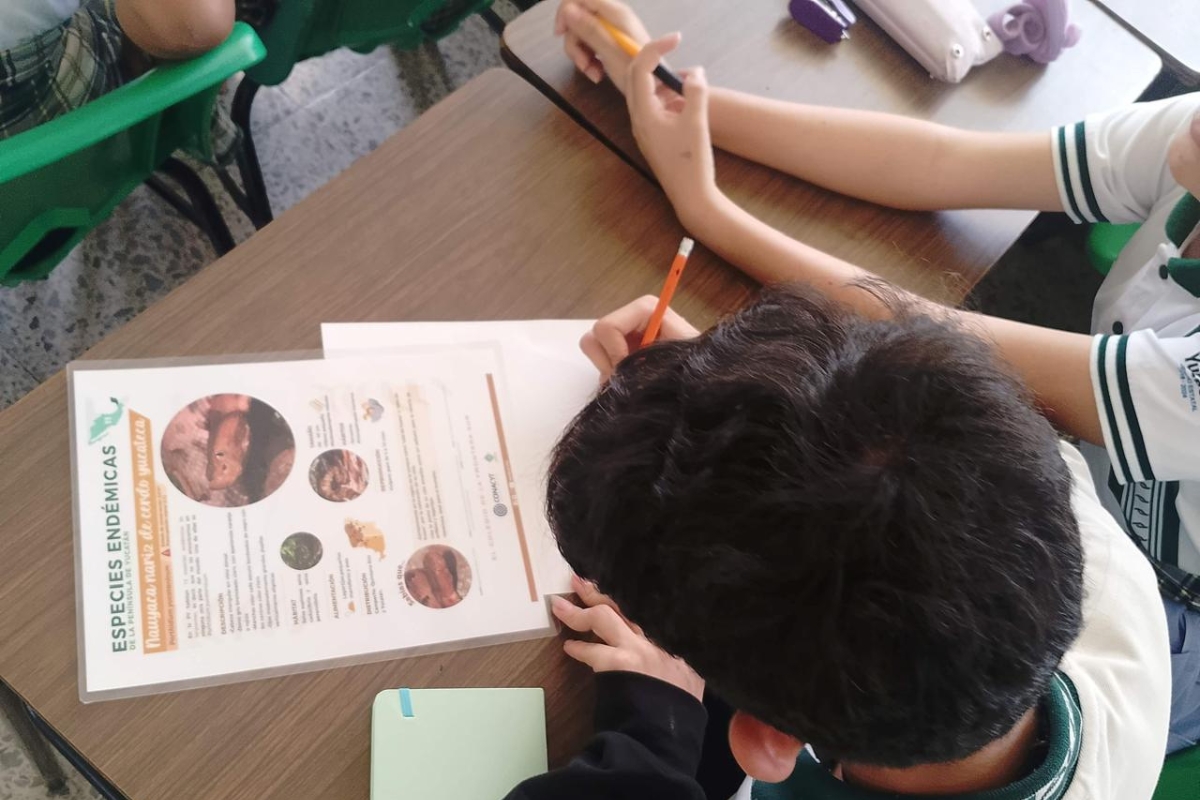 Cemex Planta Mérida obtiene reconocimiento mundial en los Tandem Global ...