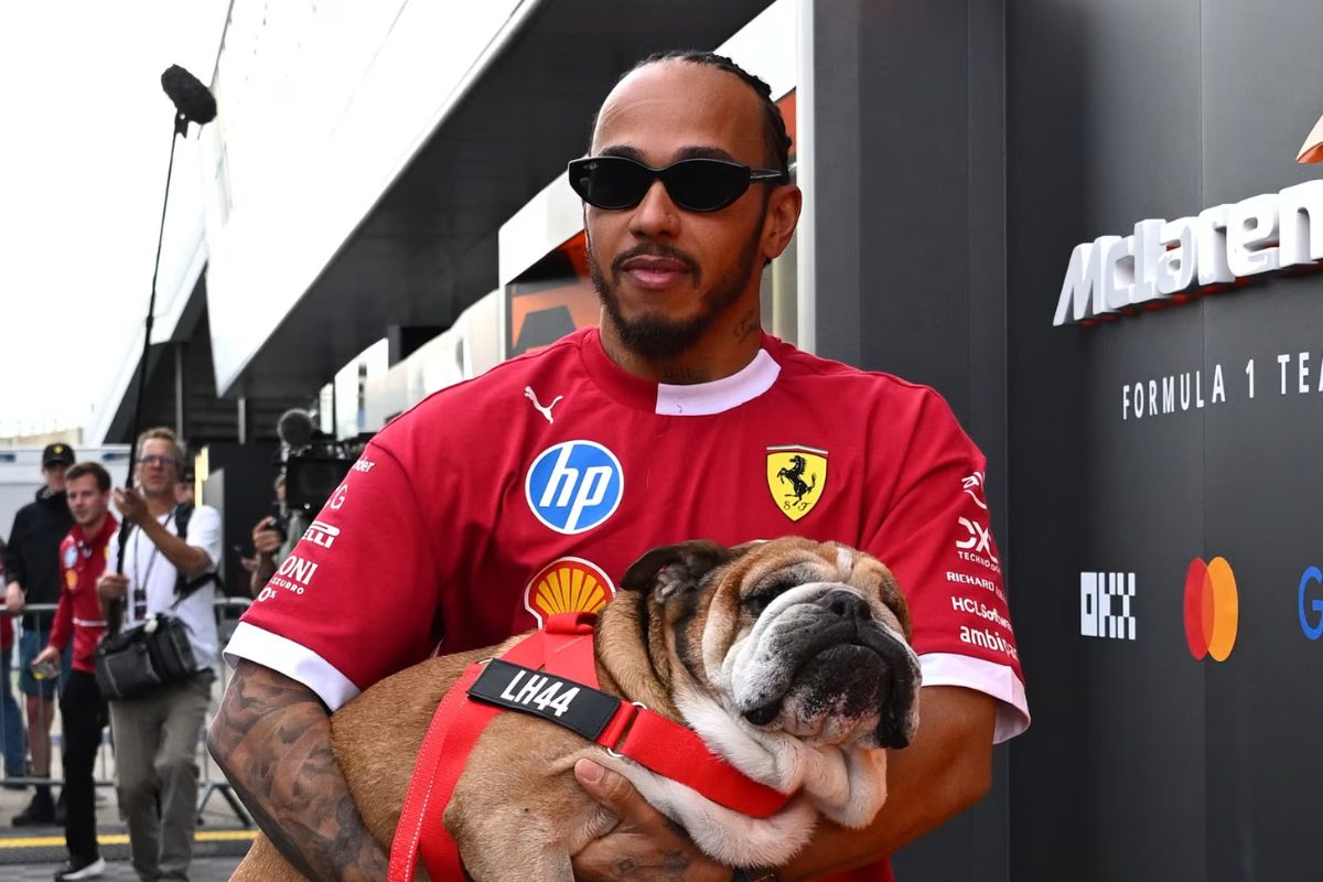 Fallece Roscoe, el querido bulldog de Lewis Hamilton